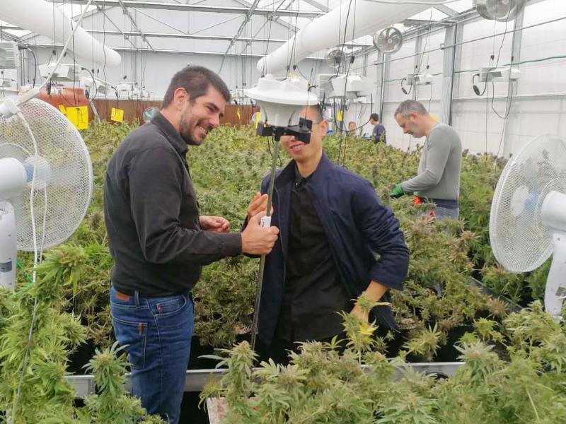 Blackout Greenhouse for Cannabis Cultivation in Thailand – YSGreenhouse ...